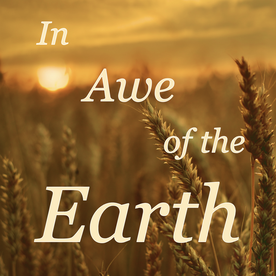 In Awe of the Earth – Karen Siegel